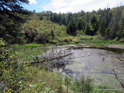 Hogsback Trail - Manitoba Trails Project