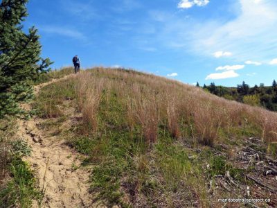 Hogsback Trail - Manitoba Trails Project