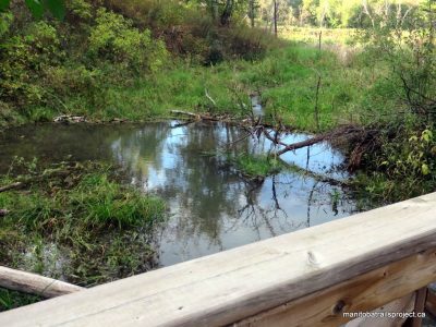 Spring Ridge Trail - Manitoba Trails Project